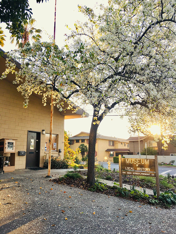 Contact | Washington Township Museum of Local History